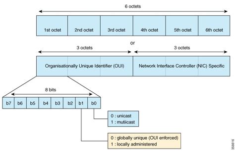 Troubleshoot Cisco Mac Address Table Mainlast