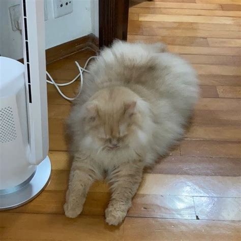 Anna Annalee6612 • Threads Say More