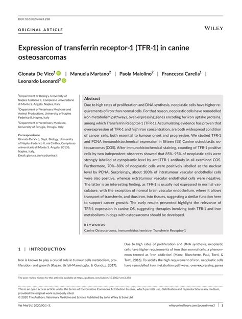 Pdf Expression Of Transferrin Receptor 1 Tfr 1 In Canine Osteosarcomas