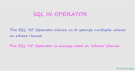 Sql In Operator The Coding Shala