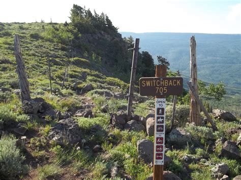 Switchback Trail