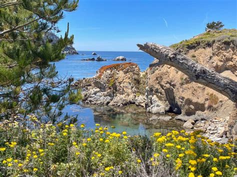19 Best Hikes In Big Sur California Complete 2026 Guide