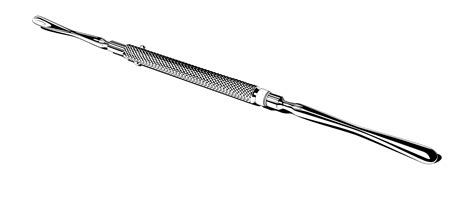 Illustrations Biologic Models