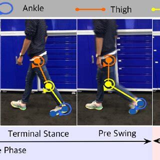 Sequential Gait Phases And The Definition Of Active Joint Angles That
