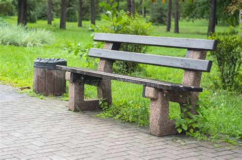 Wooden Bench In The City Park Garden Bench In Park With Trees Stock