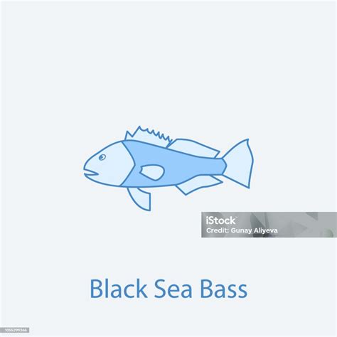 Black Sea Bass 2 Colored Line Icon Simple Light And Dark Blue Element