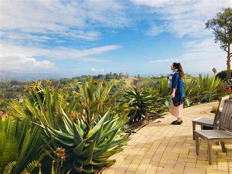 Allison Flom Storyteller