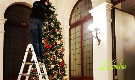 Decoraci N De Empresas En Navidad Arte Floral Rbol De Navidad