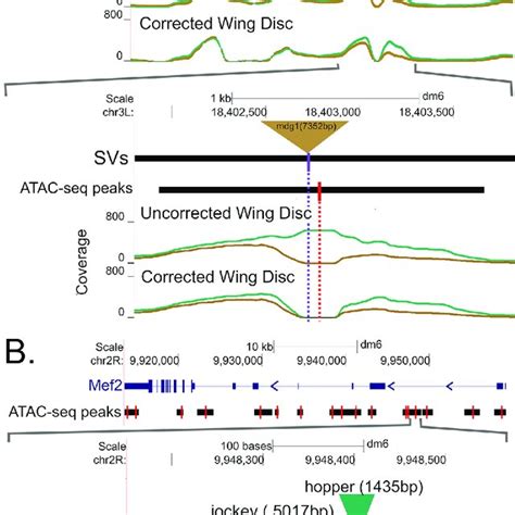 Examples Illustrating The Effects Of Sv Correction On Coverage A