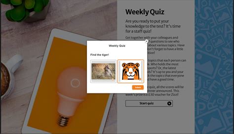 Assessments Accessibility