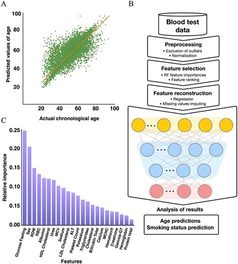Deep Learning Based Blood Biochemistry Clocks Accurately Predict