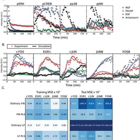 First And Second Order Volterra Kernels The Solid Line In Upper Panels Download Scientific