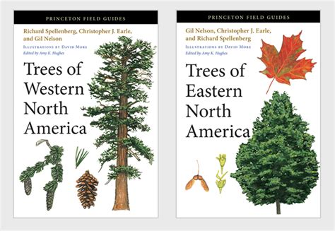 North American Trees Names