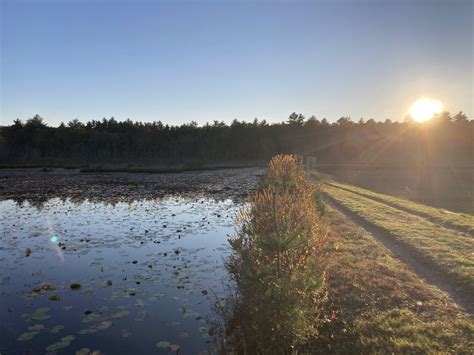 Jumbo Circus Peanuts Added A New Photo Jumbo Circus Peanuts