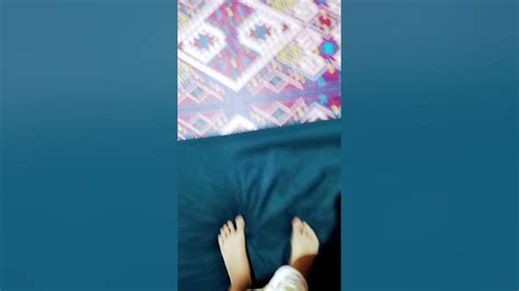 Kelas Insecta Youtube