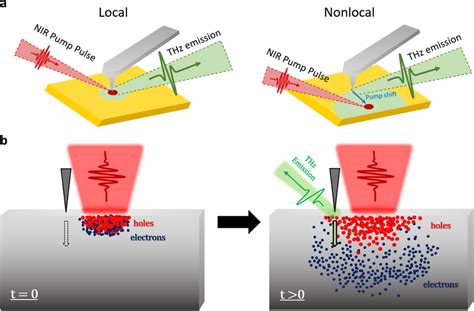 A Left Schematic Of Standard Ltem Experiment Where The Pump Is