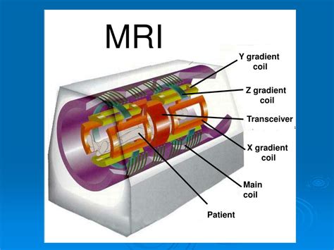 Ppt Electrical Eddy Currents In The Human Body Mri Scans And Medical