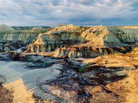Dinosaur Provincial Park Gallery — Joyful Wild