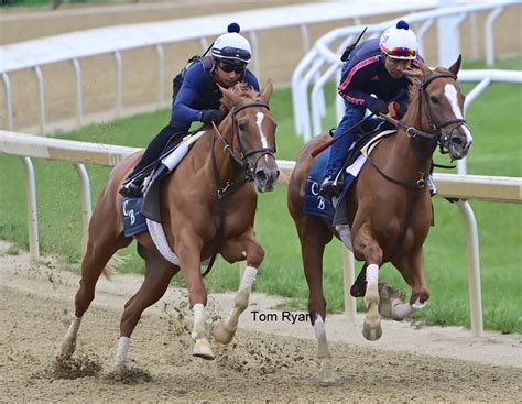 Tom Ryan Photography Added A New Photo Tom Ryan Photography