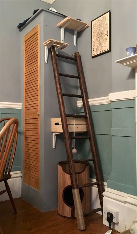 Diy Ladder Cat Tree At Jeramy Phillip Blog