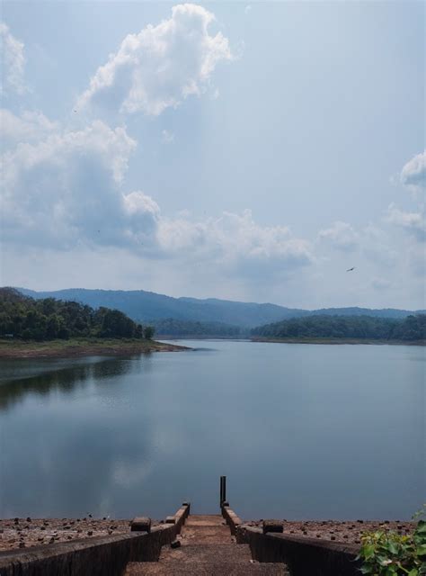 Kechery River Kerala In Sunbeamsinapinecone On Tumblr