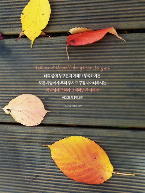 지혜의 주 갓피플