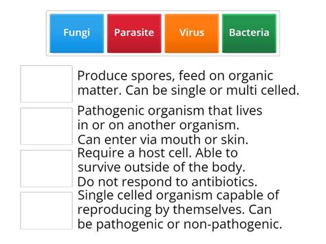 Bacteria Virus Fungi And Parasites Match Up