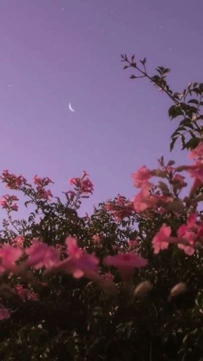 Loveasteticcute Youtube