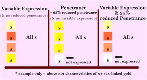 Poultry Genetics Theory