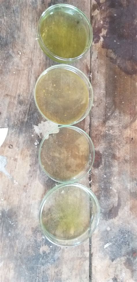 Science Colour Experiment Free Photo On Pixabay Pixabay