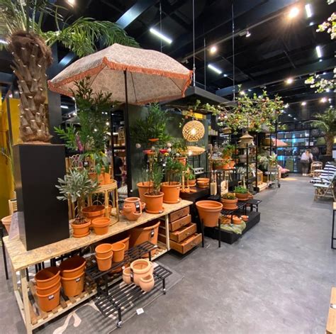 Michaela Klaus Posted On Linkedin