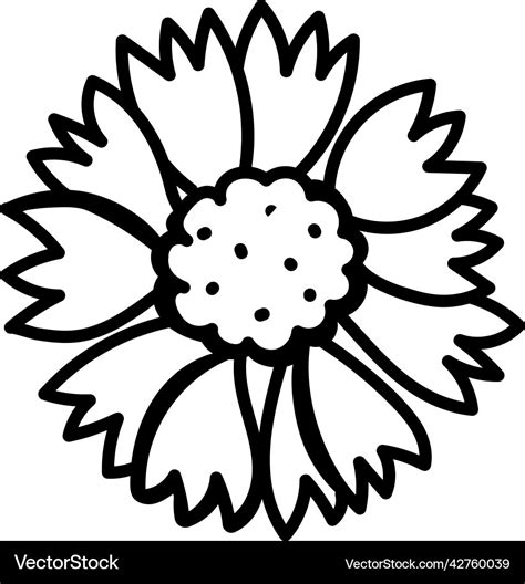 Daisy Royalty Free Vector Image Vectorstock