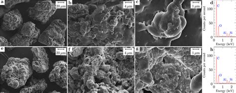 Scanning Electron Microscope Analysis Of Plastics And Clay Sem Images Download Scientific