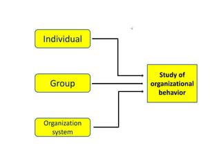 What Is Organizational Behaviour Pptx