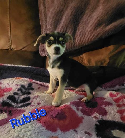 Rubble Album On Imgur