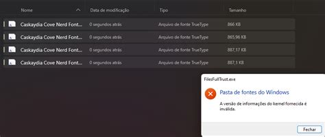 Cant Install Fonts For All Users Issue Files Community Files GitHub