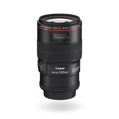 What Is The Best Macro Lens For Canon Cameras Slr Photography Guide