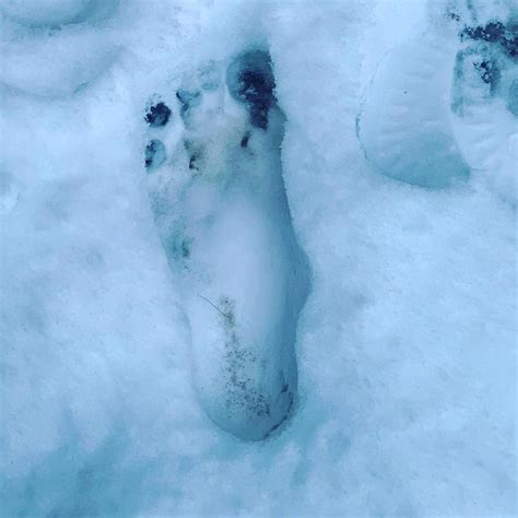 Caralines Adventure Added A New Photo Caralines Adventure