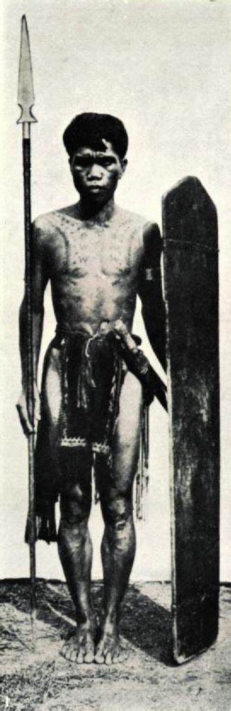13 Spears Of The Philippines Images Picryl Public Domain Media