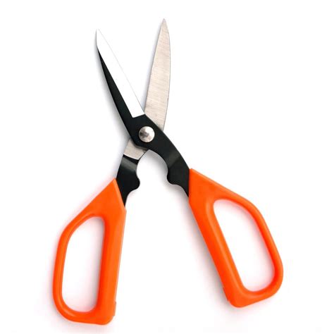 Carbon Blade Scissors Spicer Designs Ltd