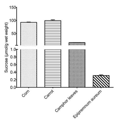 Novus Biologicals Sucrose Assay Kit Fluorometric 96 Testszellanalyse