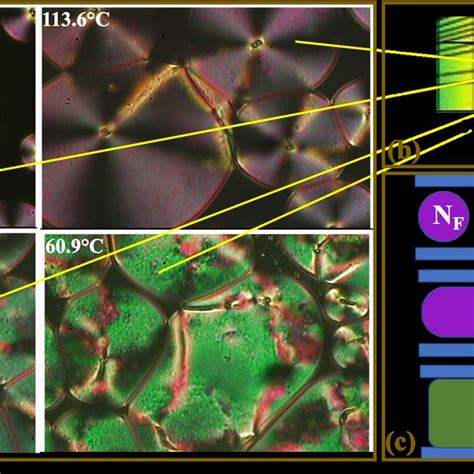 A Polarized Optical Microscopy Pom Images At 4 Different
