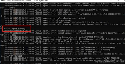 Consul安装与启动consual Csdn博客