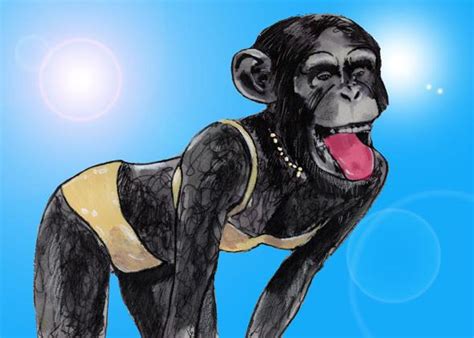 Female Promiscuity In Primates When Do Women Have Multiple Partners