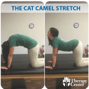 Therapy Center Stretch Tip Cat Camel The Therapy Center