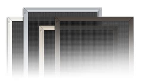 Custom Window Screens