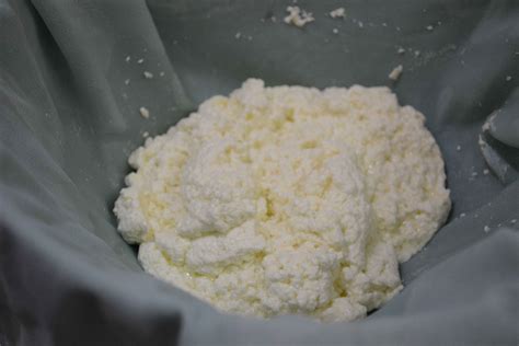 How To Make Soft Chenna For Milk Sweets Cooking Basics Gayathris Cook Spot