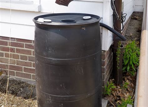 Tudi Deževnica Je Dragoceni Vir Vode Eko Dežela