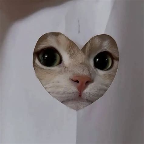 Thương Thương Piee 1201 • Threads Say More