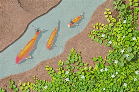 Roundleaf Bindweed Stock Illustrations 3 Roundleaf Bindweed Stock Illustrations Vectors